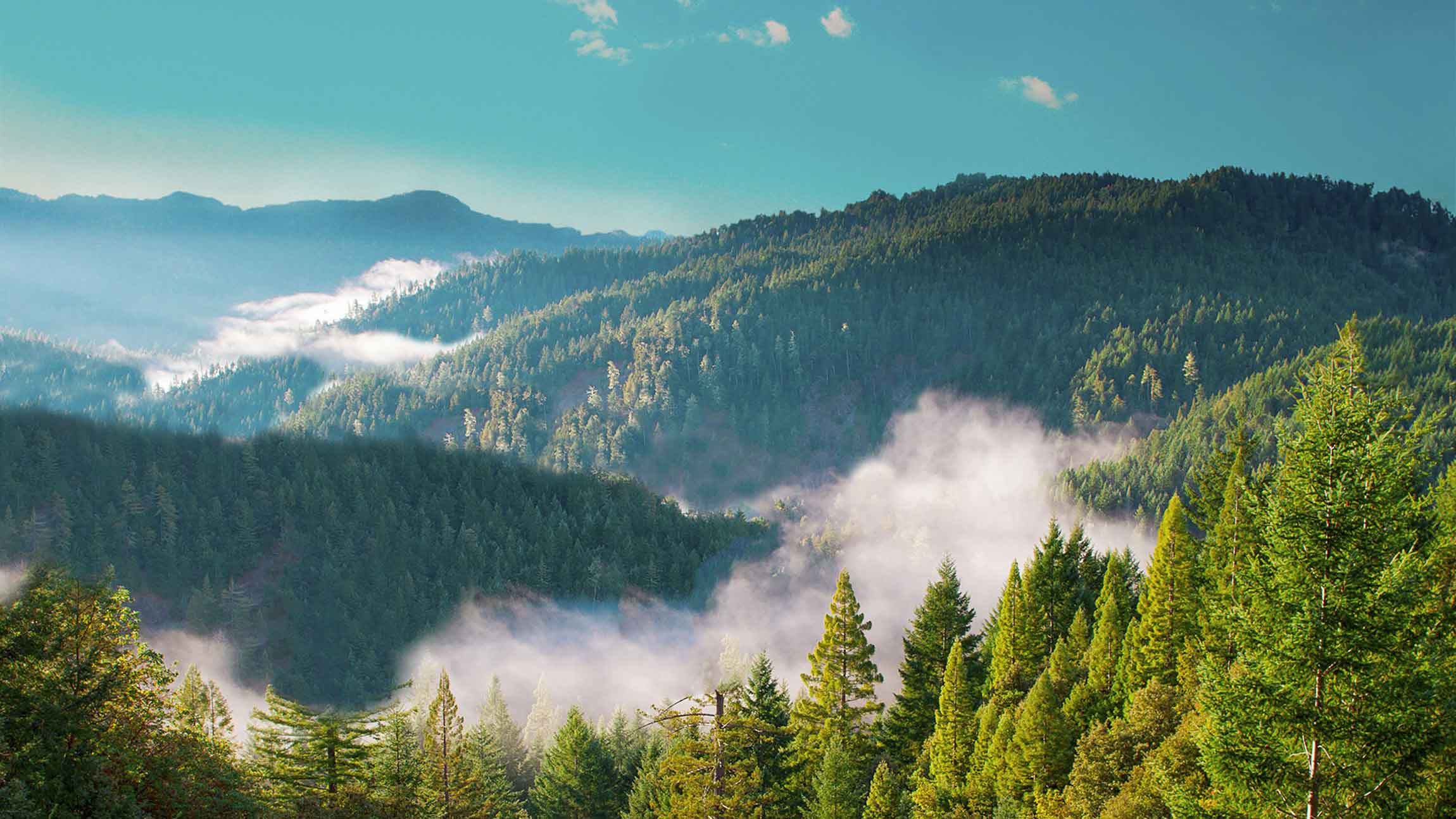 Gruppo Saviola | The Eco-Ethical Company