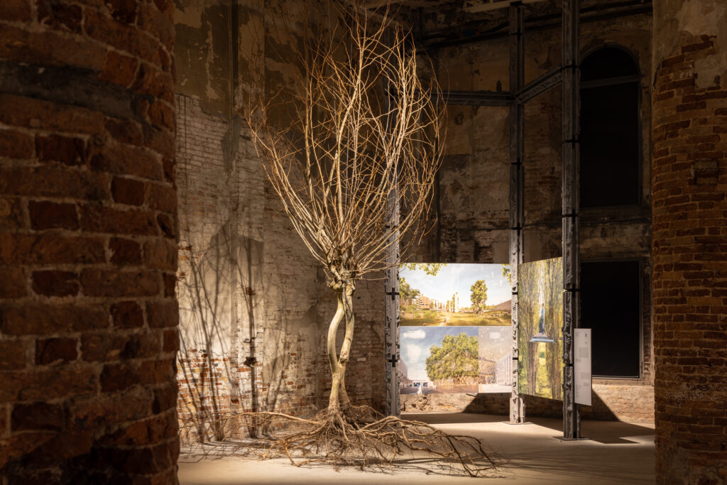 NEWS – Gruppo Saviola sostiene la Biennale Architettura 2025 - Gruppo Saviola